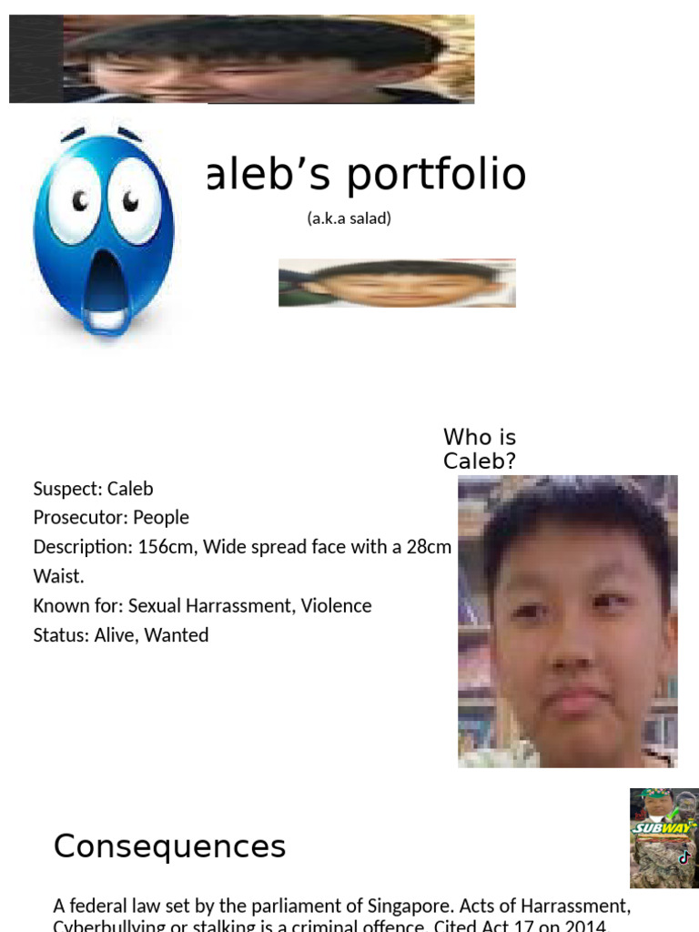 Calebs Portfolio 3 | PDF