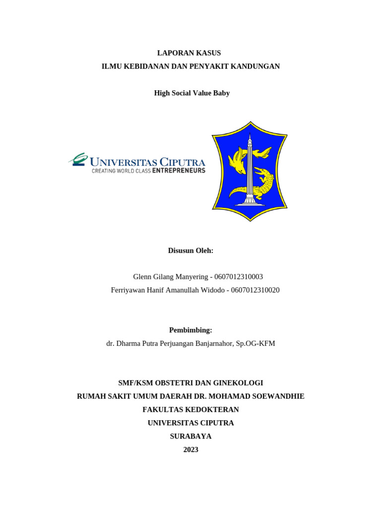 CASE - REPORT Glenn Ferri | PDF