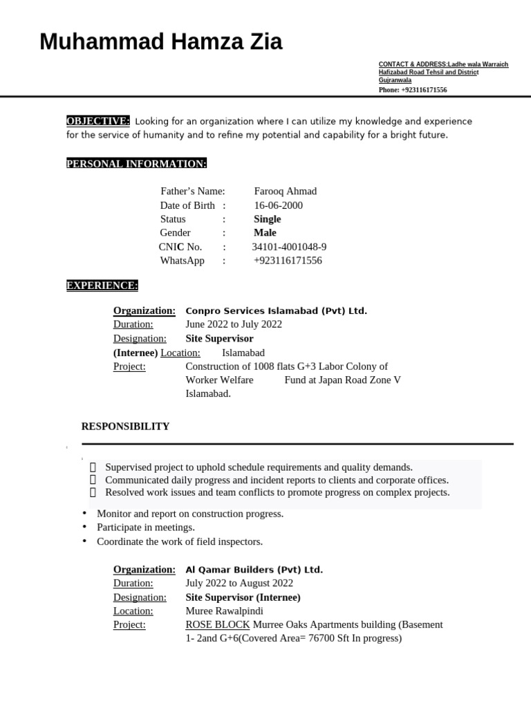 Engr. Hamza Zia | PDF