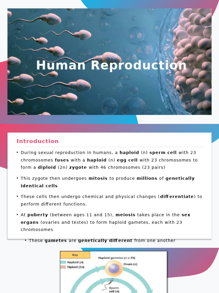 Human Reproduction | PDF