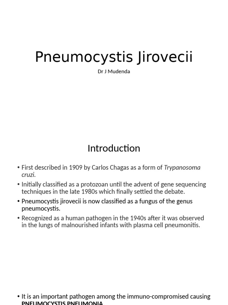 Pneumocystis Jirovecii Presentation | PDF