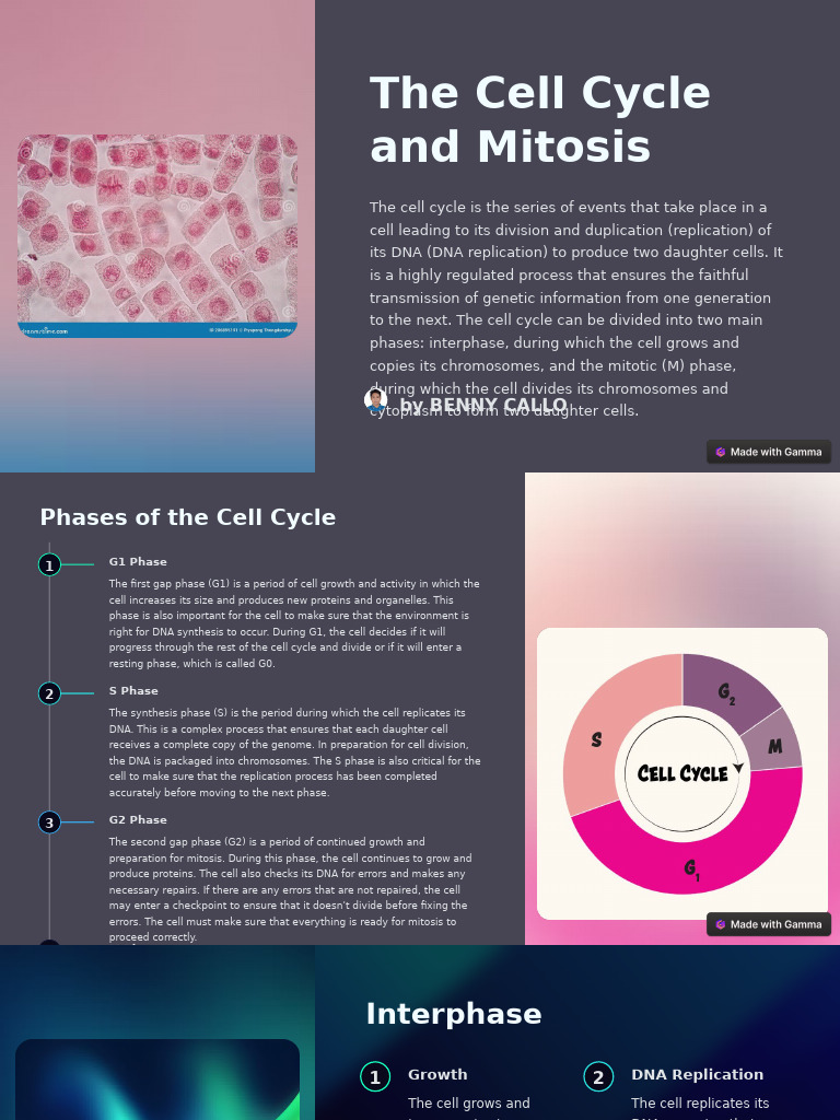 The Cell Cycle and Mitosis | PDF | Mitosis | Cell Cycle