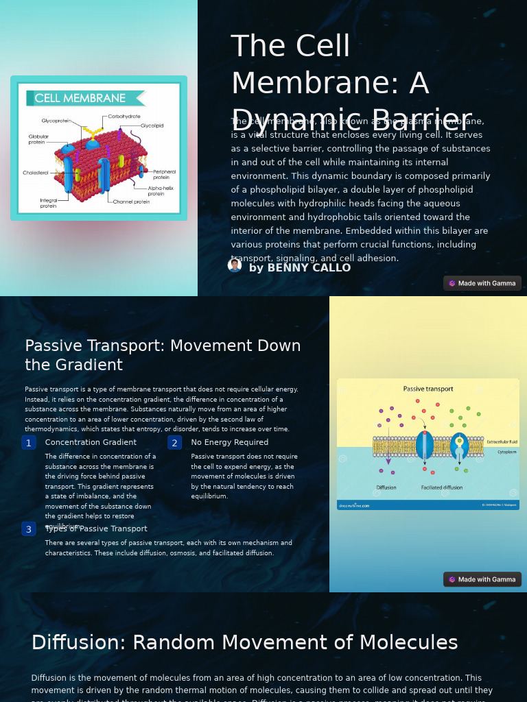 The Cell Membrane A Dynamic Barrier | PDF | Cell Membrane | Diffusion