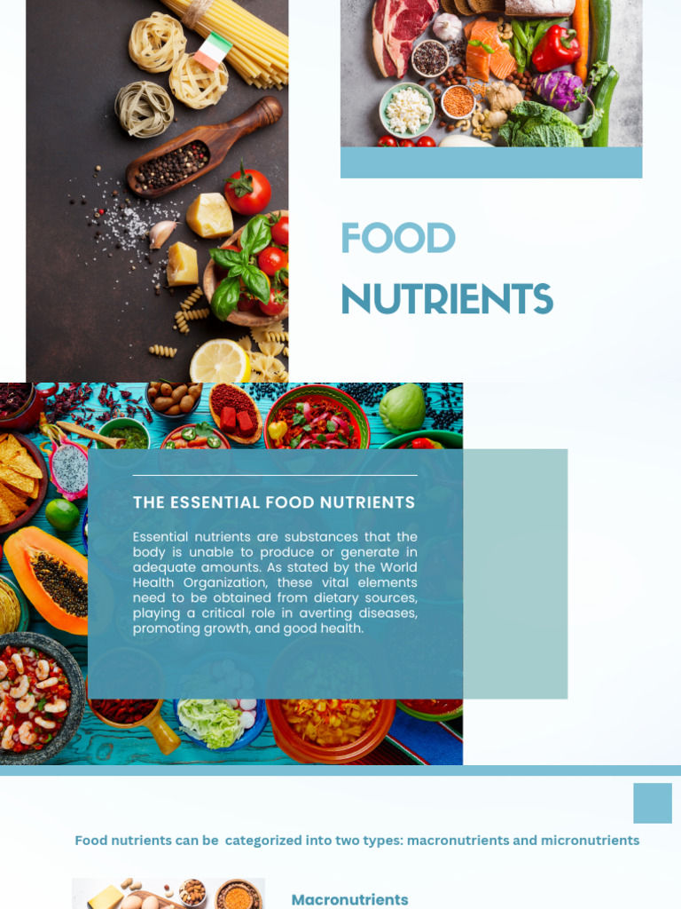 Food Nutrients Water | PDF