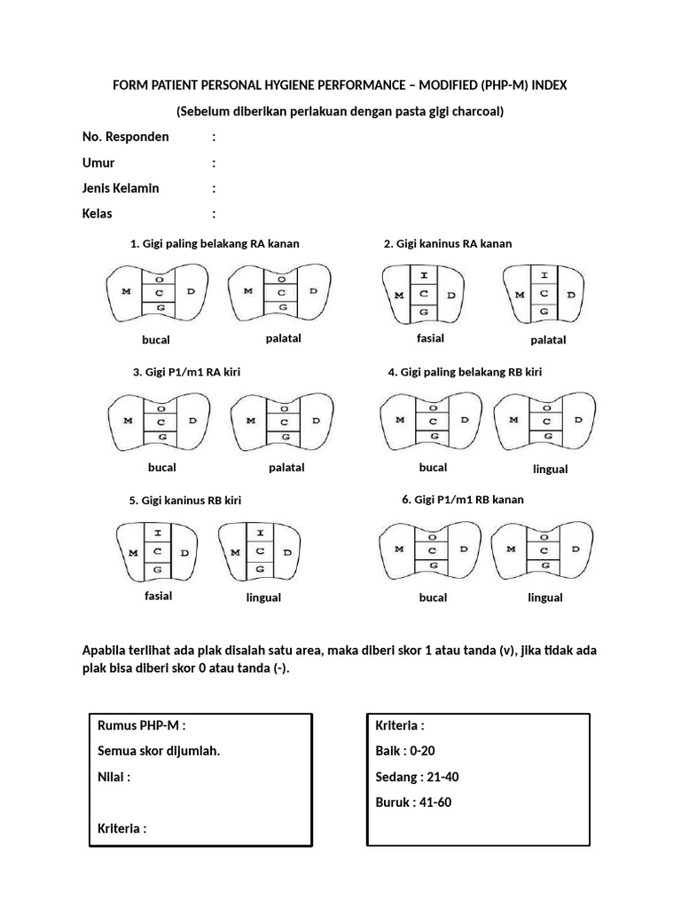 Form Patient Personal Hygiene Performance Sebelum Charcoal | PDF