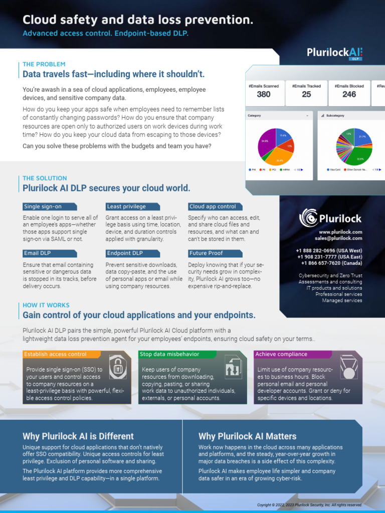 Plurilock Ai Dlp Datasheet Pdf