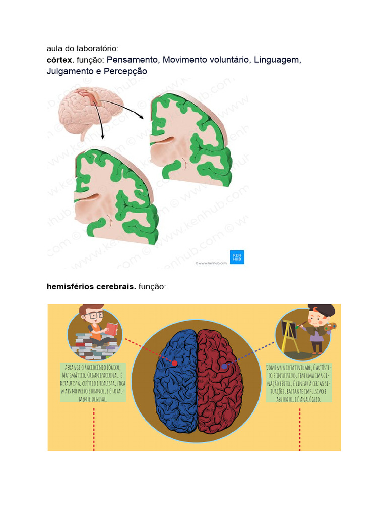 Revisão Prova Neuro (2) | PDF