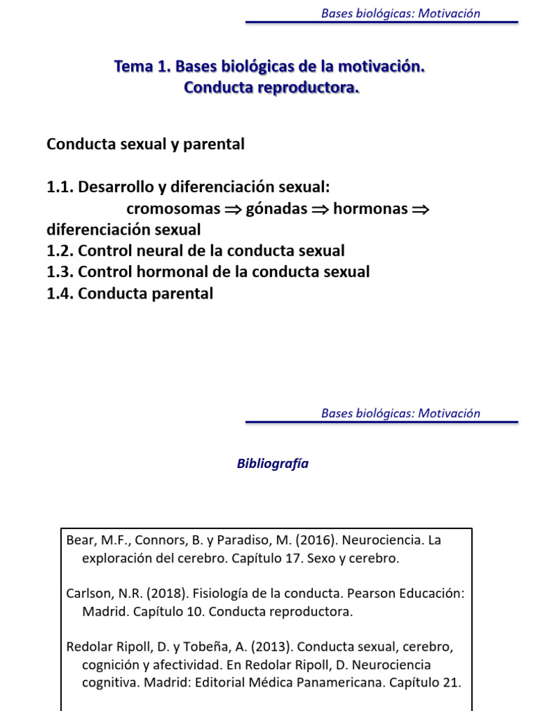 Diapositivas Tema 1 | PDF