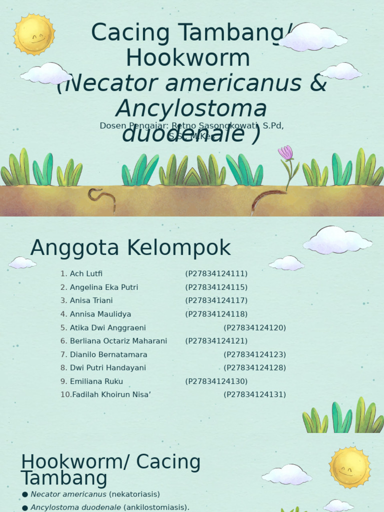 Kelompok 1 Hookworm | PDF