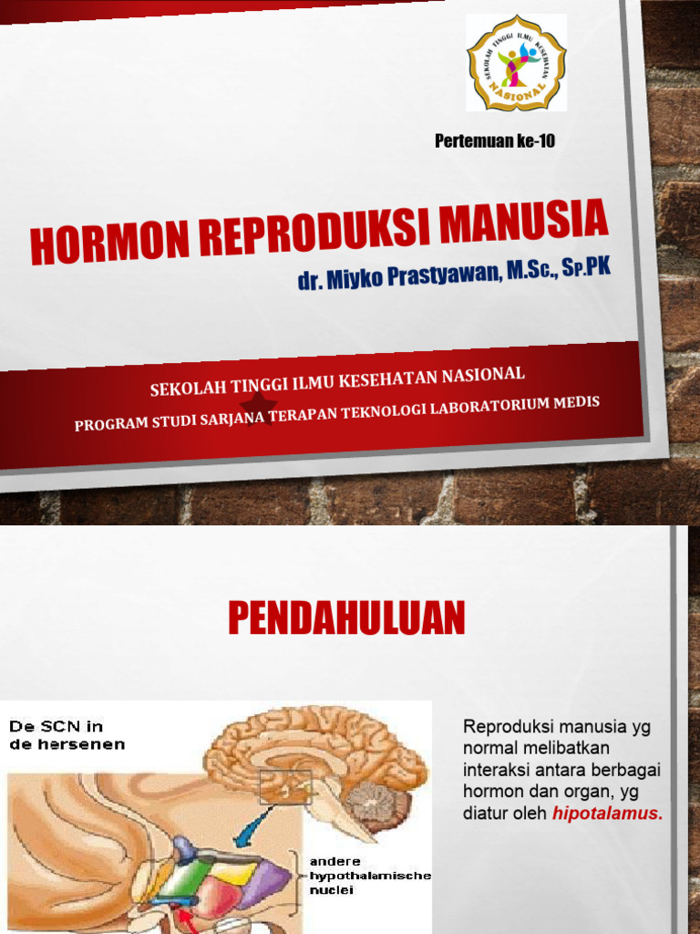 Hormon Reproduksi Manusia 2024 | PDF