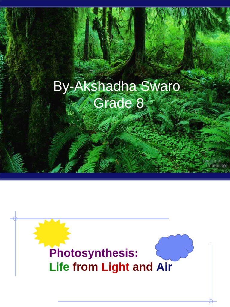 Photosynthesis | PDF