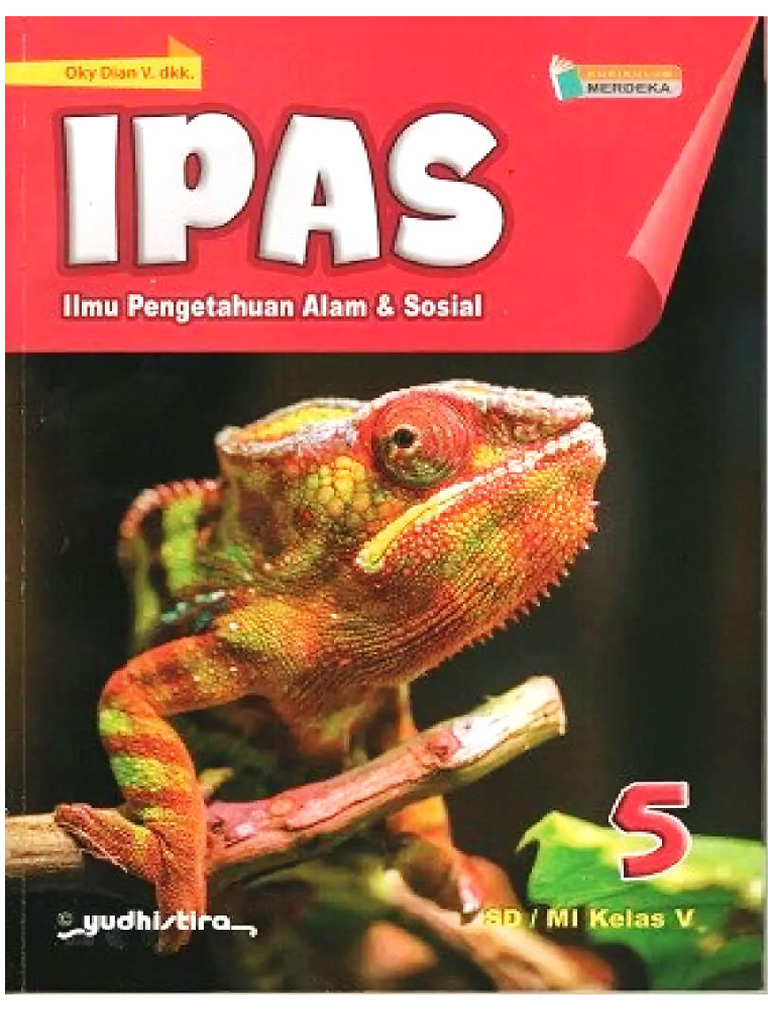 Cover Ipas | PDF