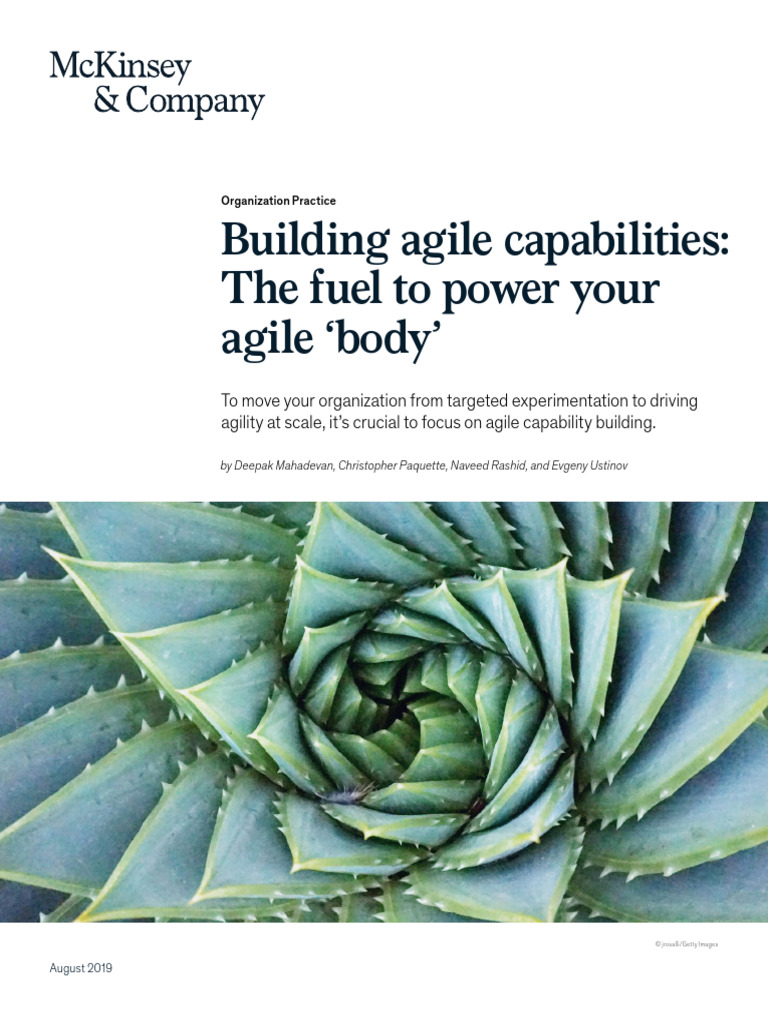 MCK - Building Agile Capabilities - The Fuel To Power Your Agile Body ...