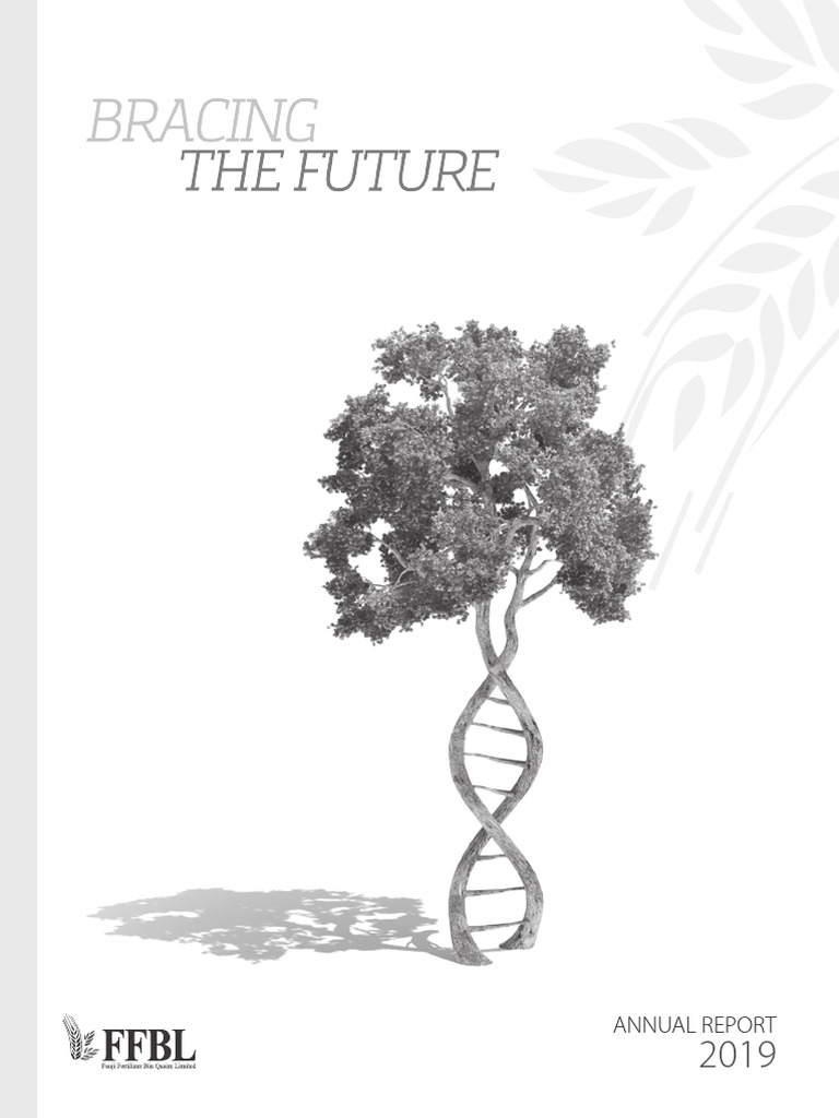 2019 FFBL Annual Report | PDF | Business