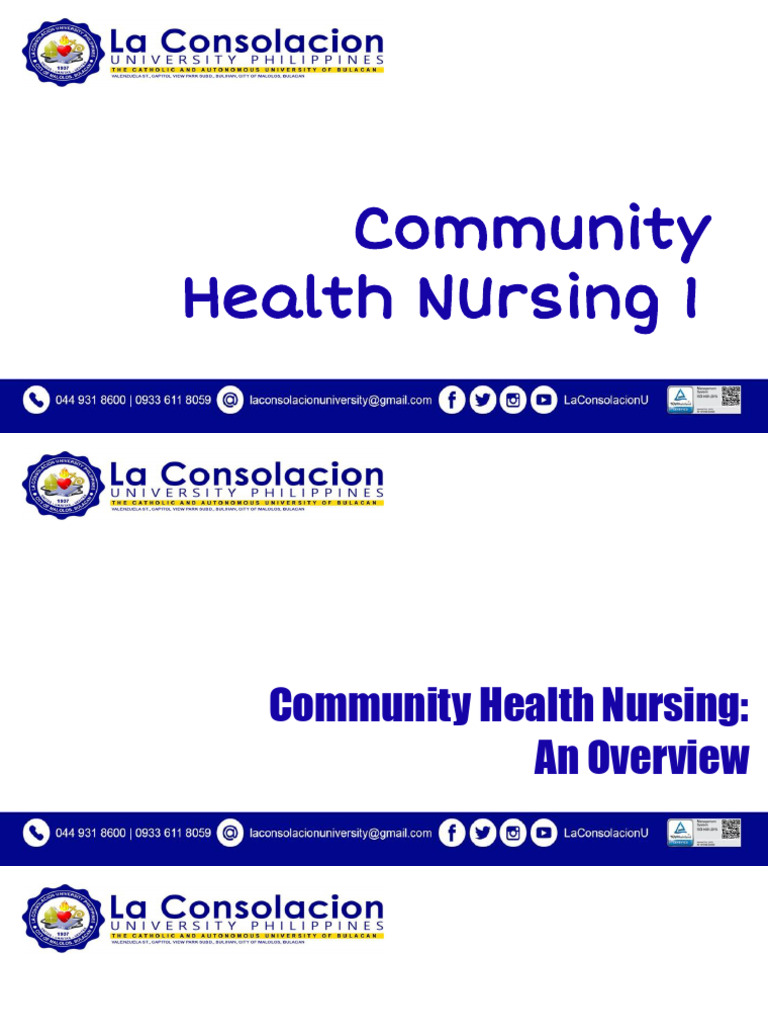 The Community Survey Tool | PDF