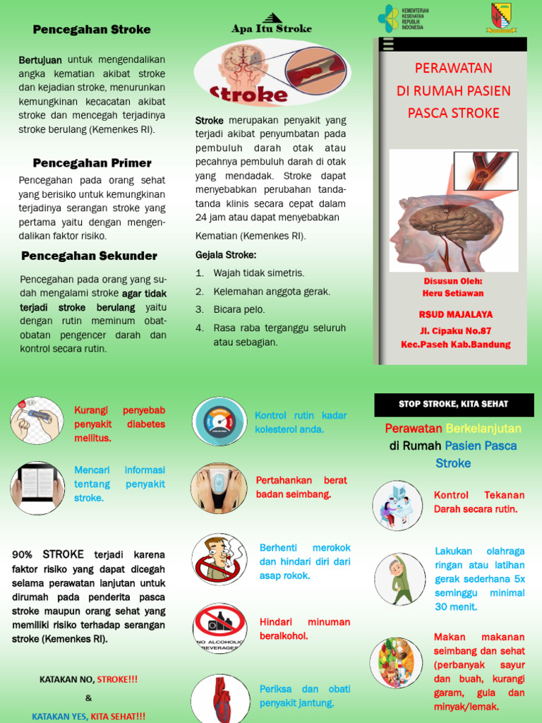 Penkes DP Stroke | PDF | Wellness