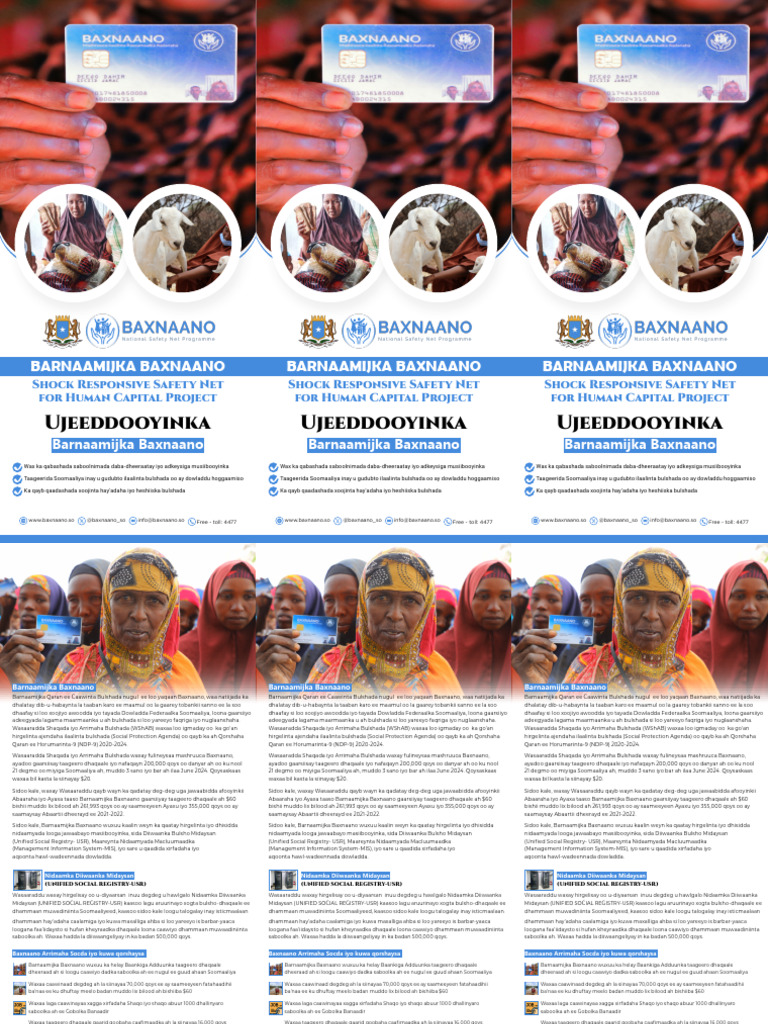 Leaflet Paper | PDF