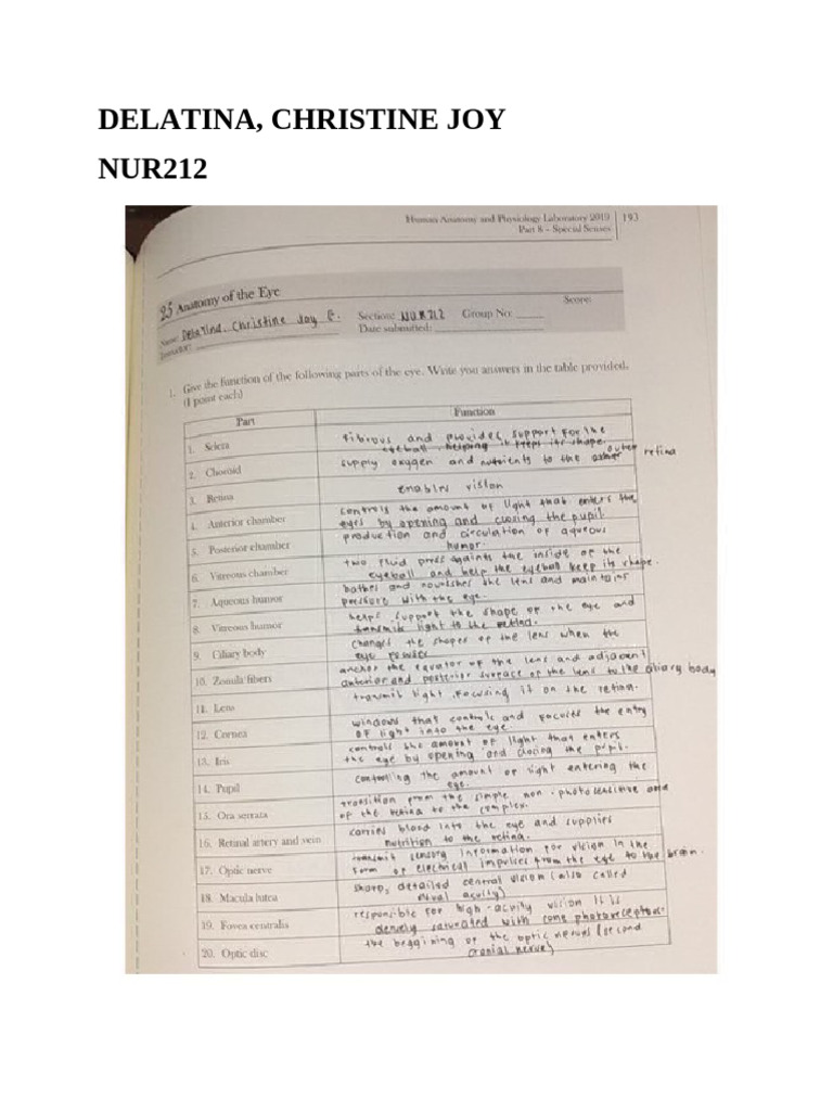 Act 25 | PDF