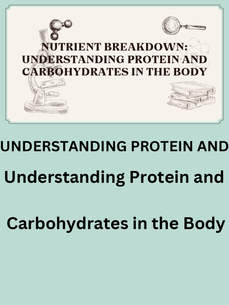 Nutrient Breakdown Understanding Protein and Carbohydrates in The Body ...
