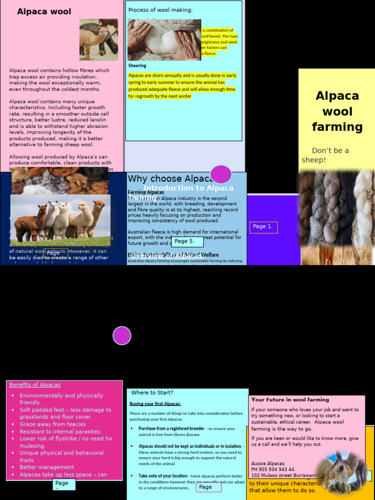 Animal Production Flyer Draftt | PDF