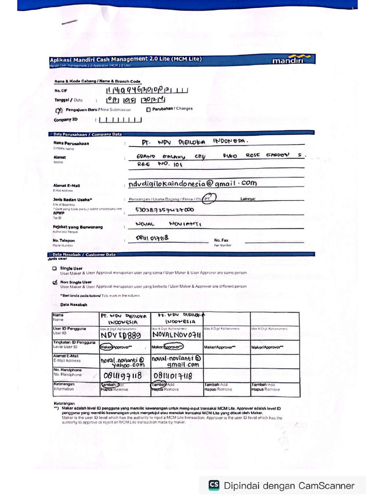 Form Mcm Pt Ndv_compressed | PDF