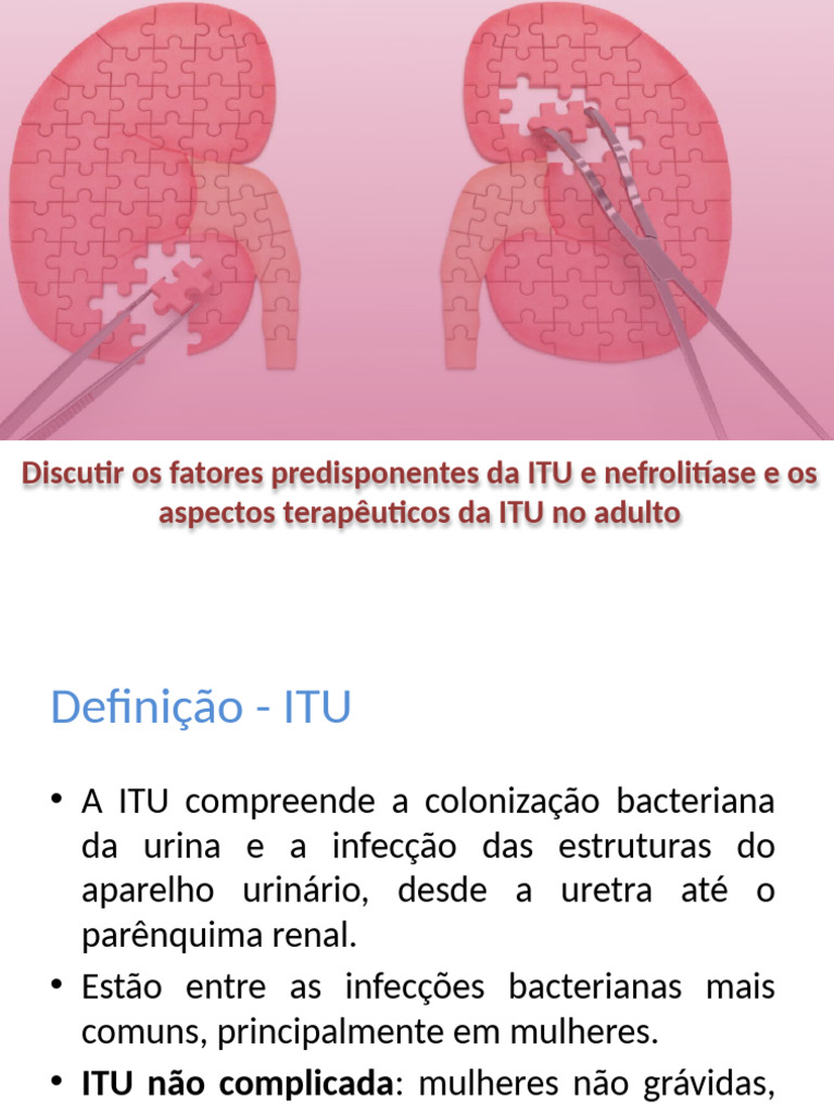 ITU Adulto | PDF