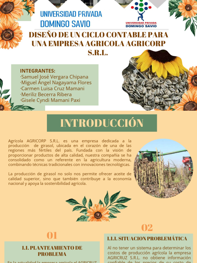 Diapositiva Proyecto Socioformativo - Agricorp S.R.L. | PDF | Business