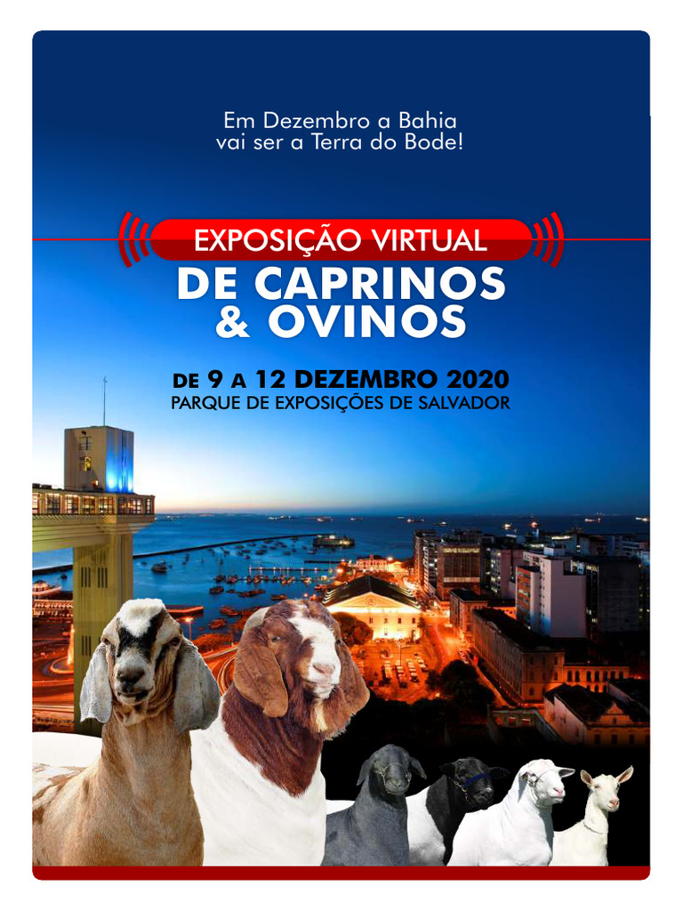 E-Book Exposicao Virtual ACCOBA 2020 | PDF