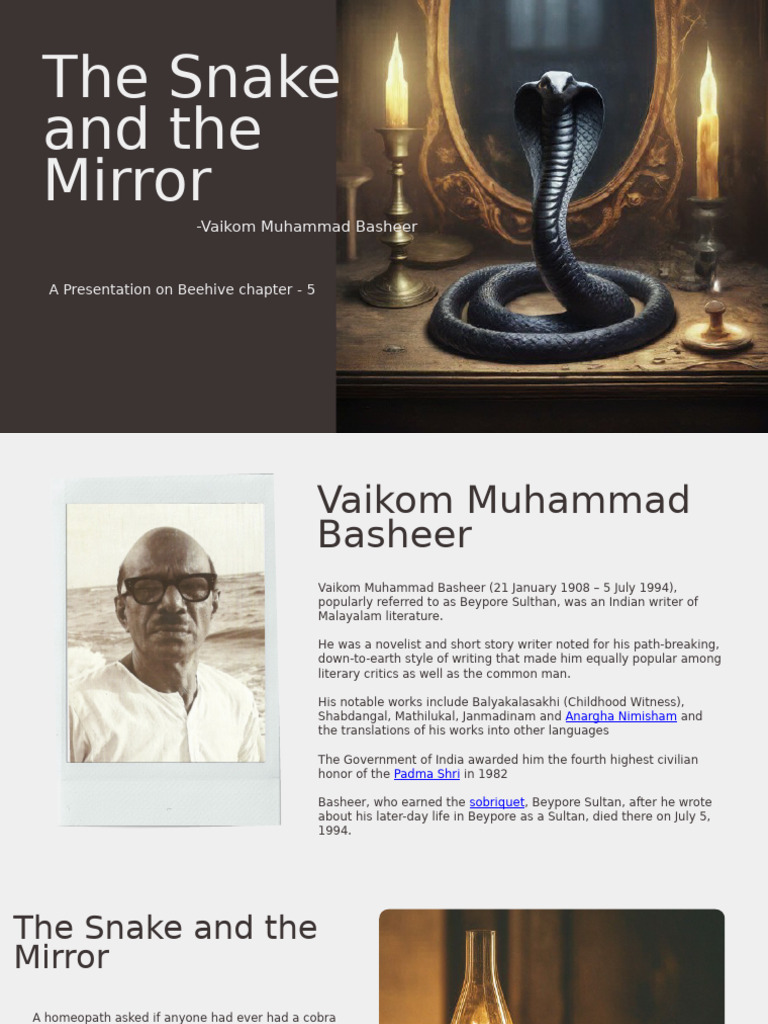 The Snake and The Mirror | PDF | Philosophy