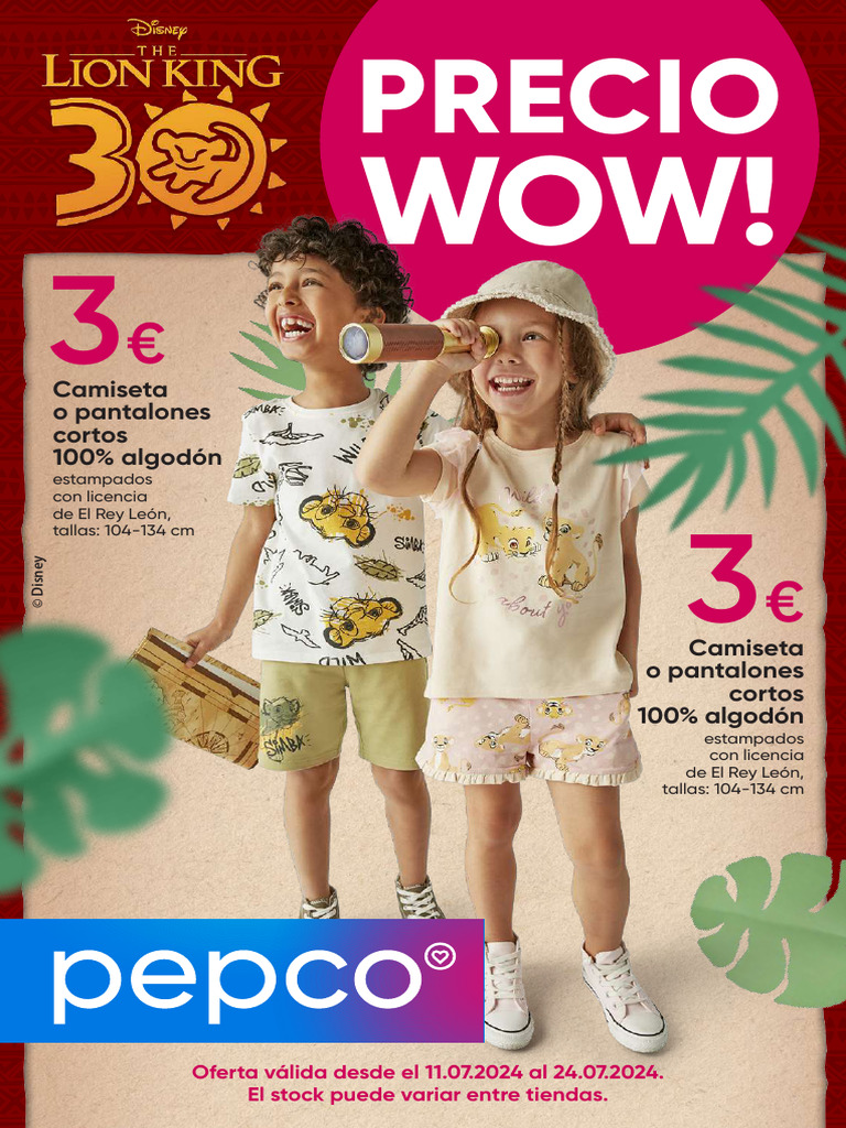 P41 Leaflet ES PAGINAS Compressed | PDF