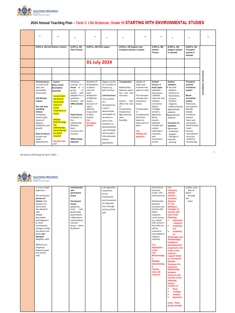 2024 ATP Gr.10 Term 3 Gauteng | PDF