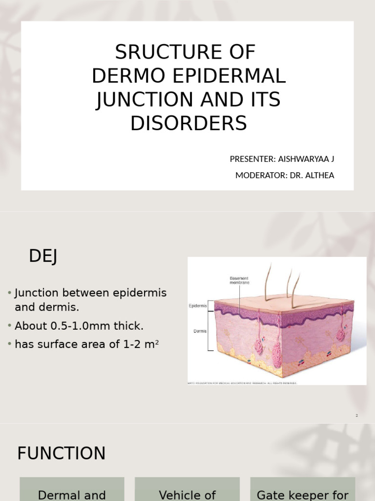 DEJ & Disorders Aish | PDF