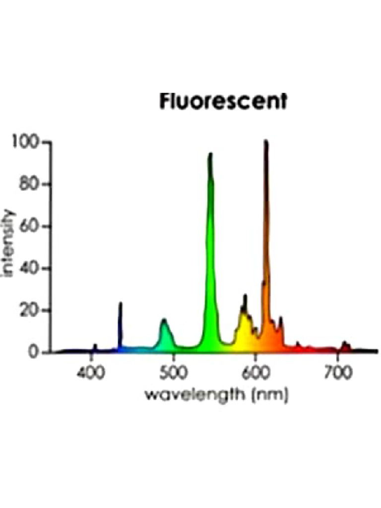 Fluorescent | PDF