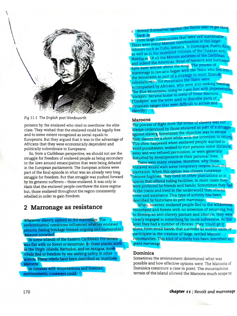 Marronage As Resistance - Origin | PDF