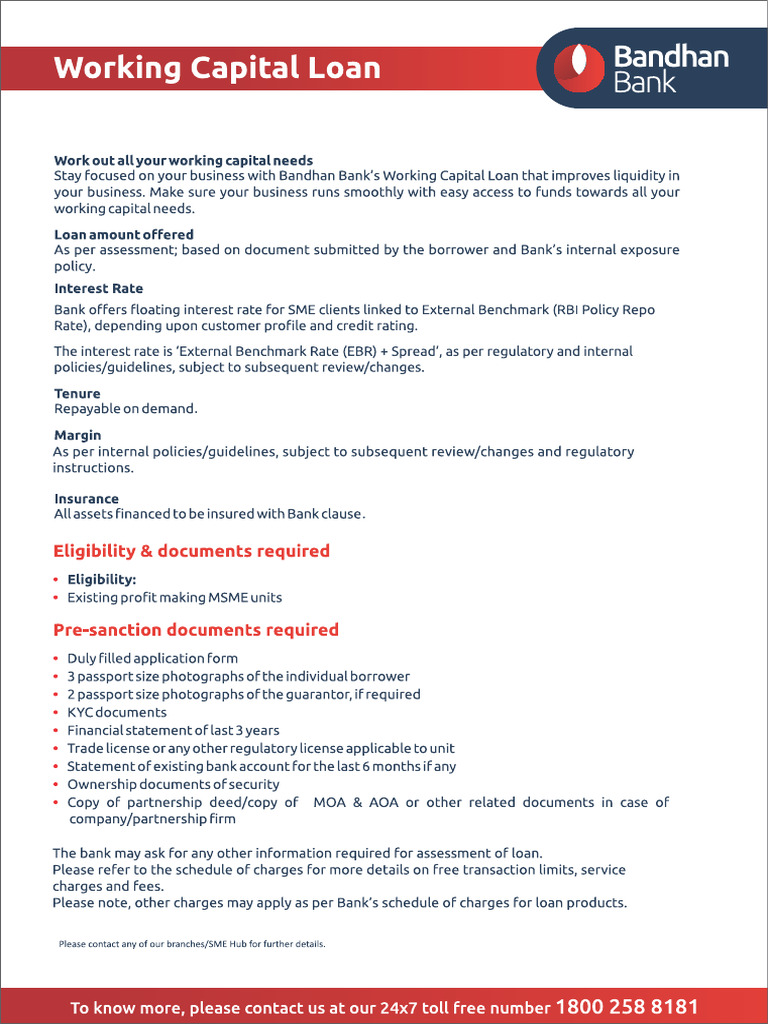 Working Capital Loan | PDF