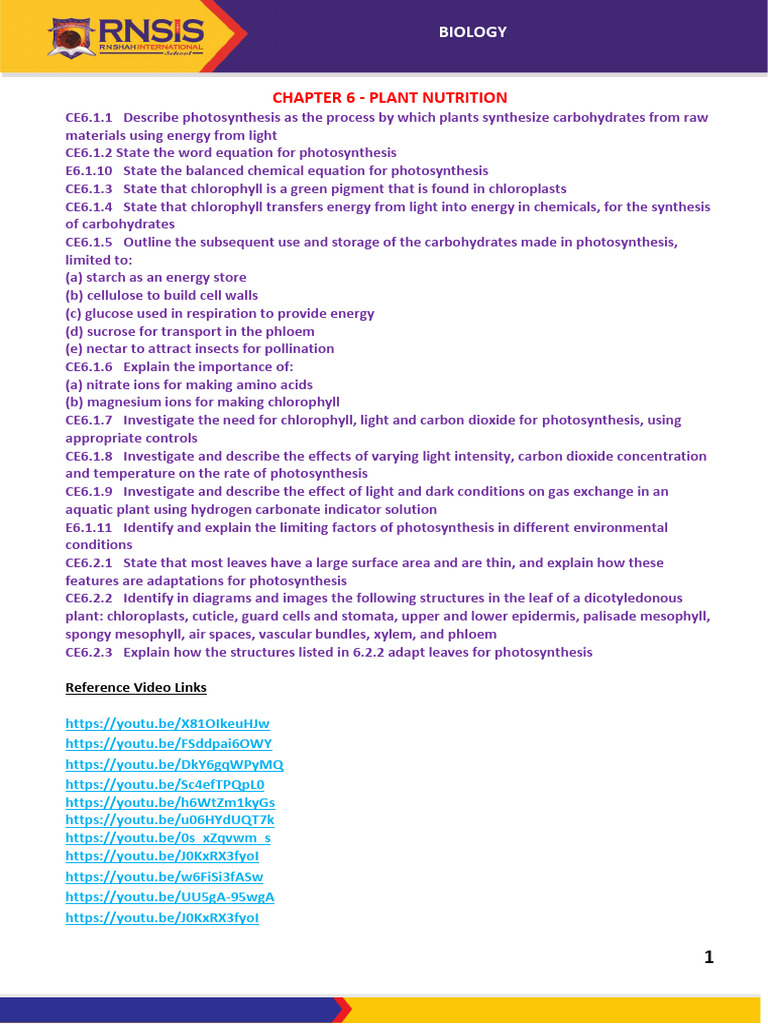 Chapter 6 | PDF