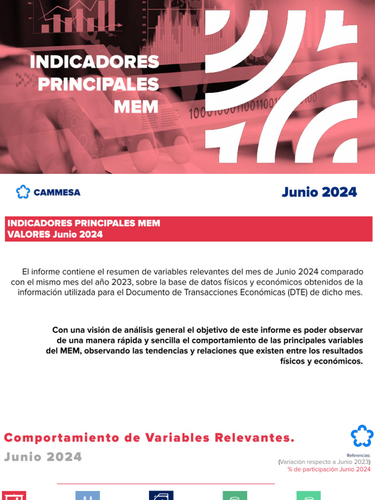 Resumen Principales Variables MEM - Junio 2024 | PDF