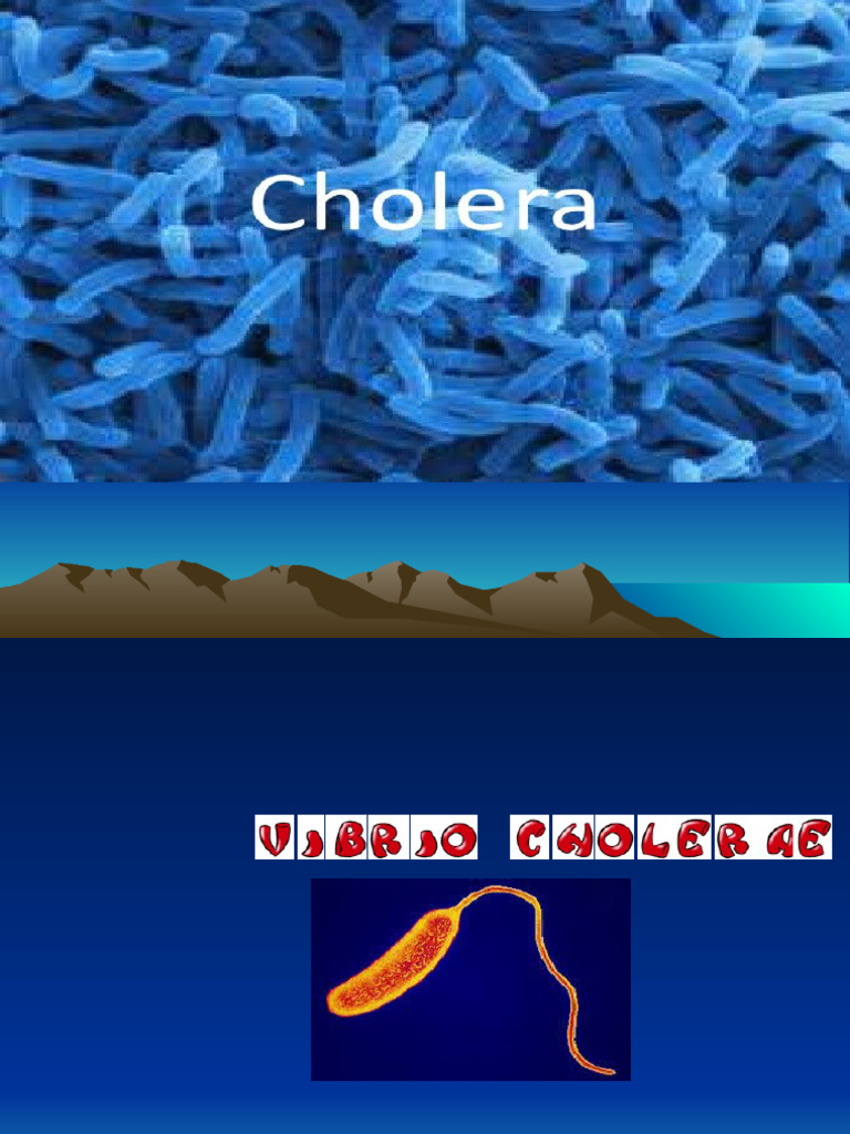 Vibrio Cholerae | PDF