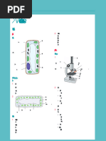Science 7 Workbook Answers | PDF