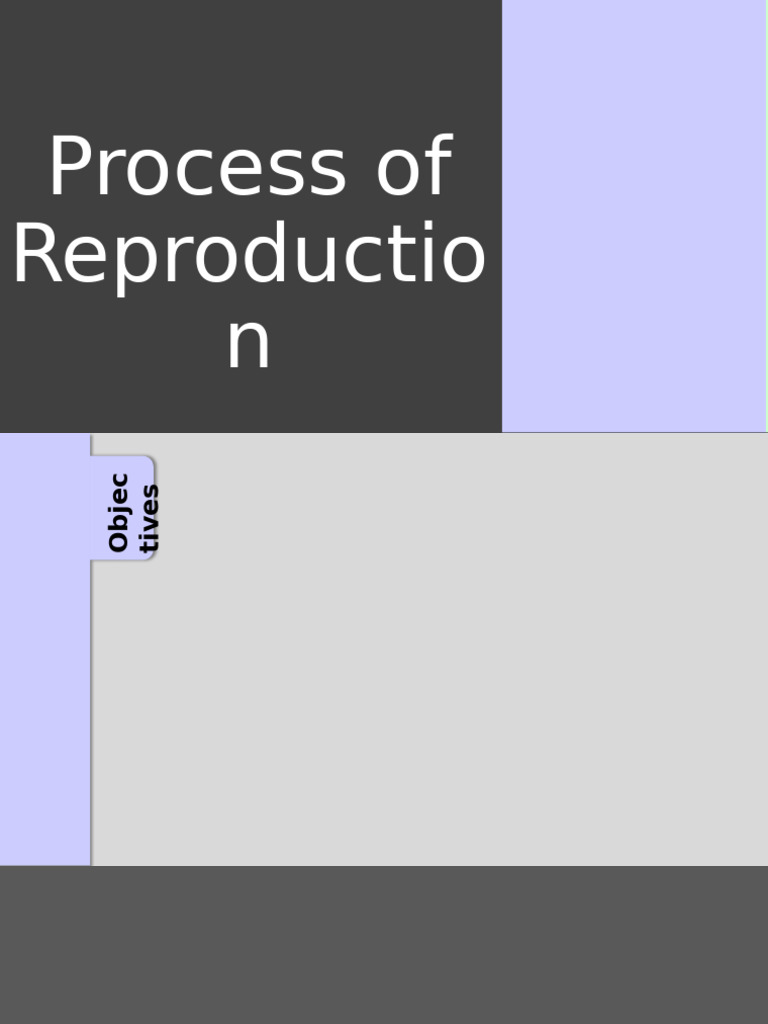Reporoduction Process | PDF