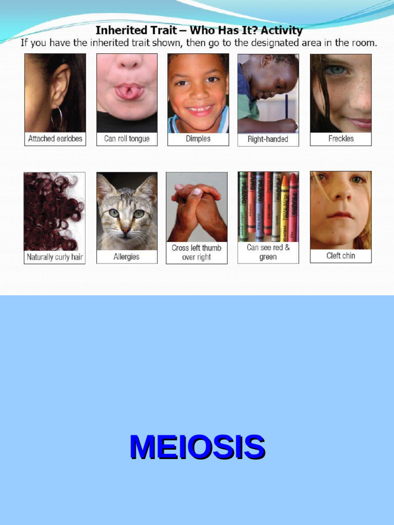 Meiosis Ppt 2014 Pdf