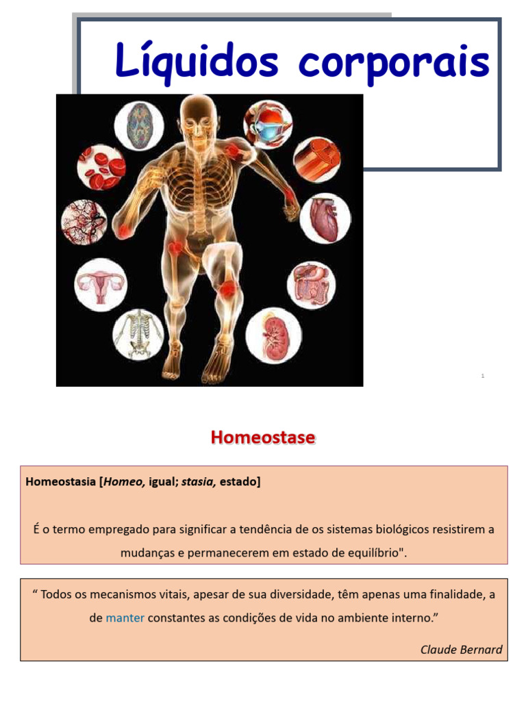 AULA03 LquidosCorporaisMembranasTransporte 20240814195746 | PDF