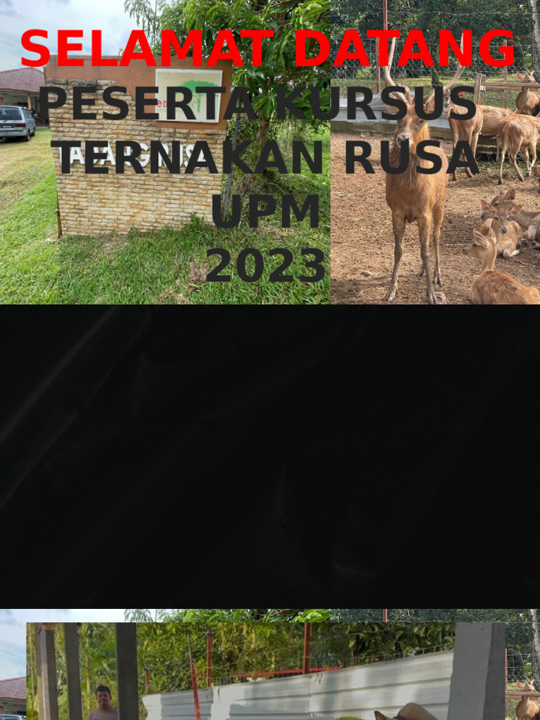 Slide 1 Upm | PDF