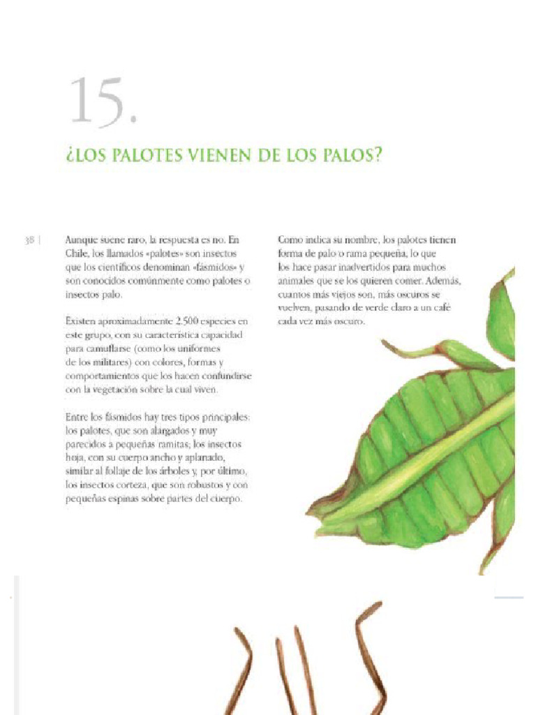 El Palote | PDF