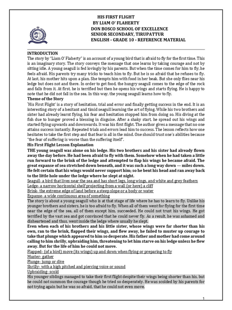 His First Flight | PDF