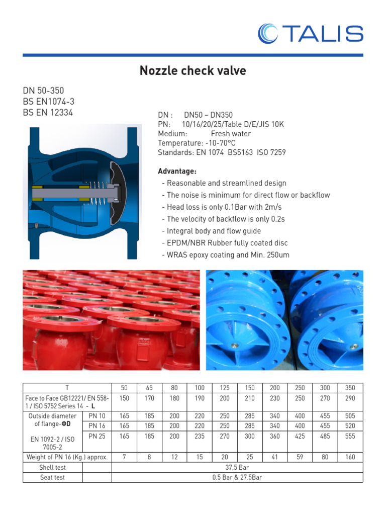 Nozzle Check Valve | PDF