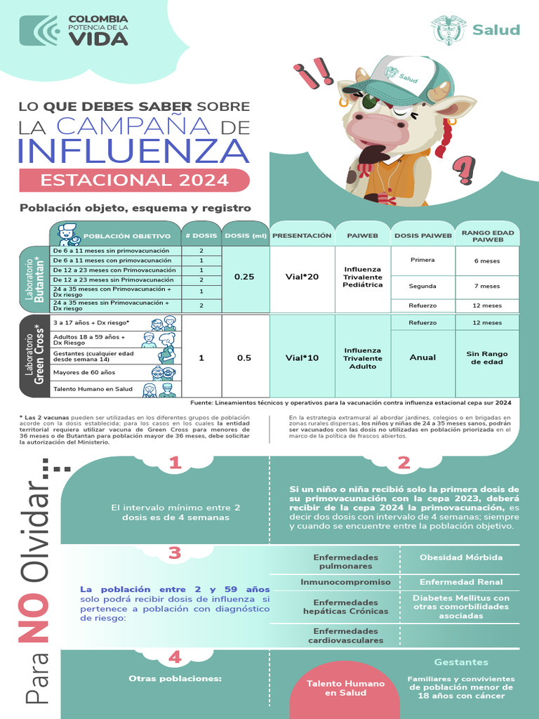 Infografia Influenza 2024 | PDF