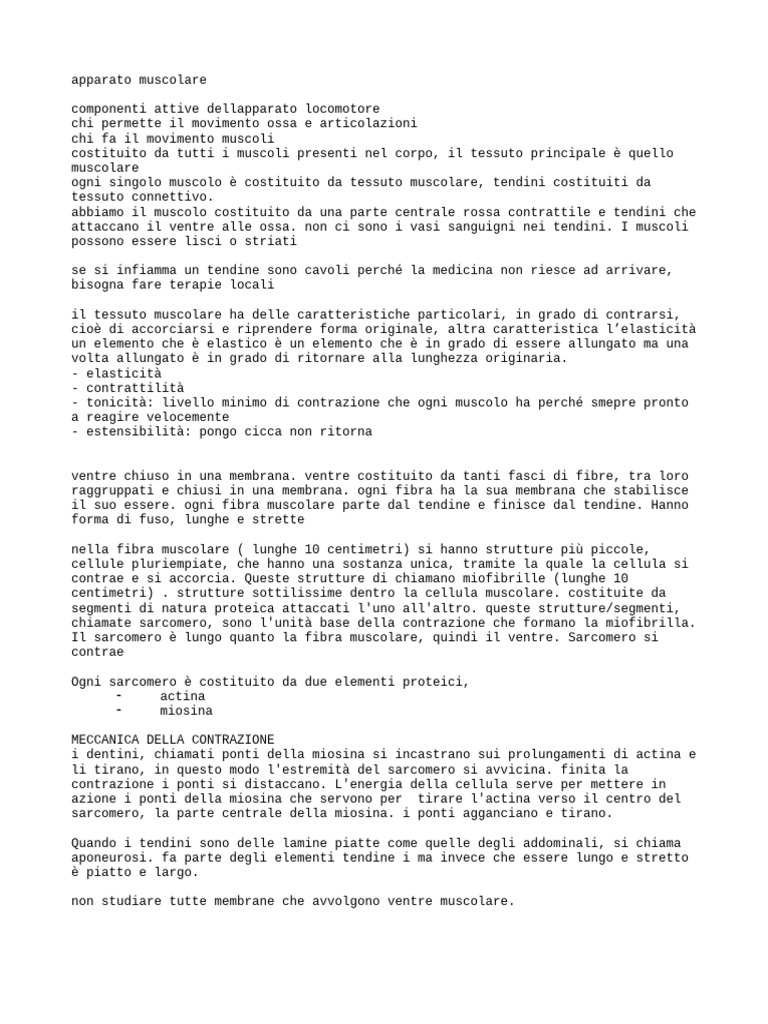 Testo | PDF