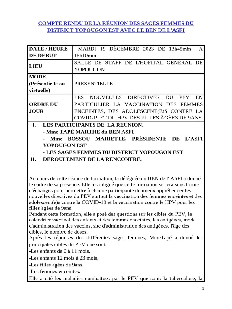 Canevas de Rapport de Reunion - Copie | PDF