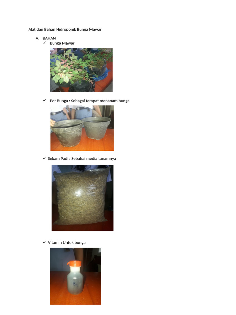 Alat Dan Bahan Hidroponik Bunga Mawar | PDF